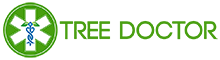 Tree Care by Expert Arborist in San Diego - Tree Doctor USA