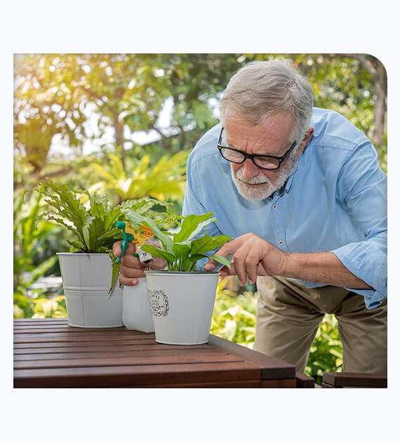 Superior Tree Services In Fullerton - Tree Doctor USA