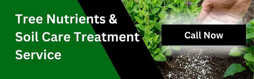 Complete Guide About Tree Nutrients & Soil Care Treatment