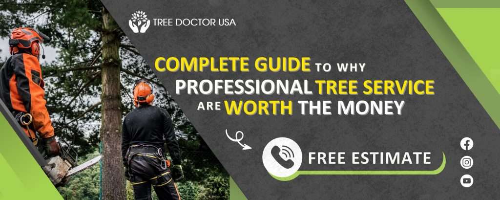 A Complete Guide To Why Professional Tree Service Are Worth The Money