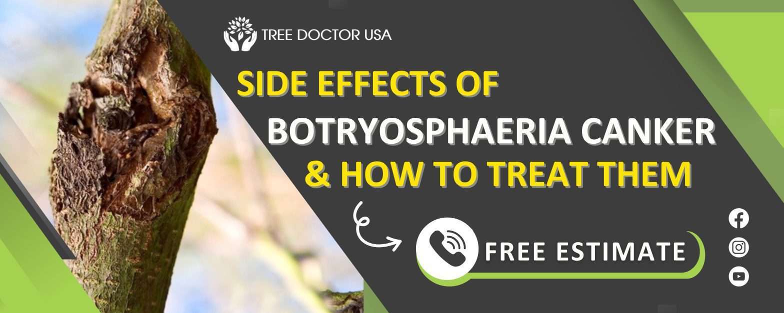 The Side Effects of Botryosphaeria Canker & How to Treat Them