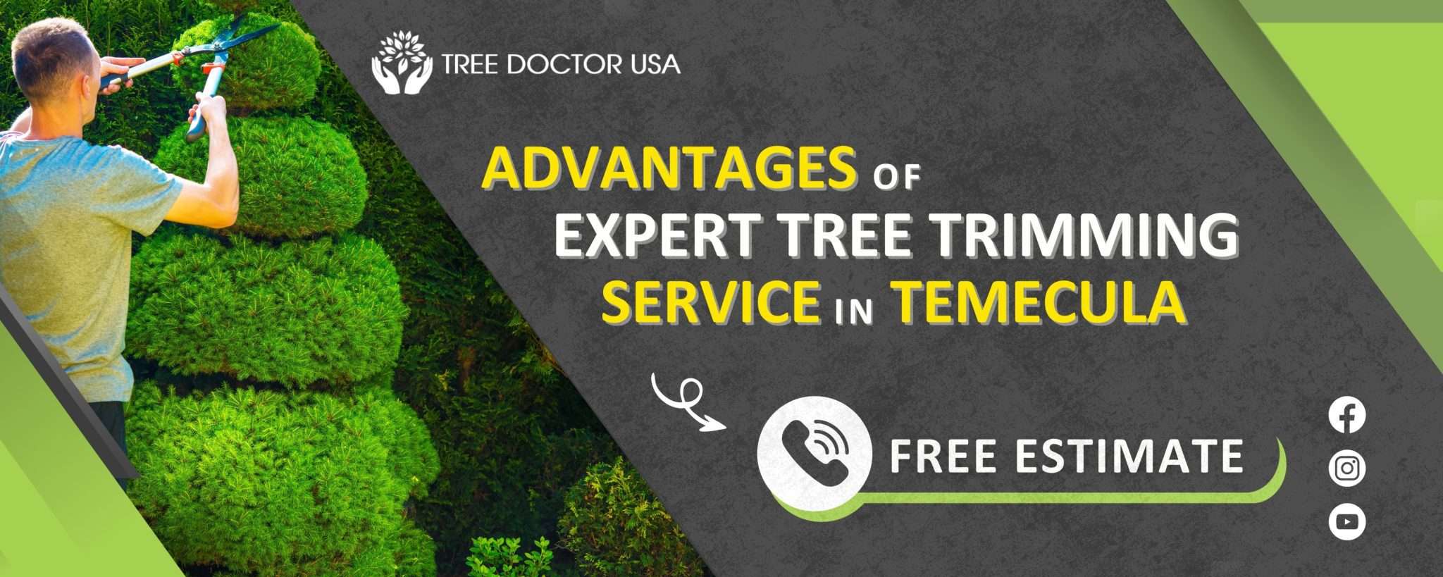 Advantages of Expert Tree Trimming Services | Tree Doctor USA
