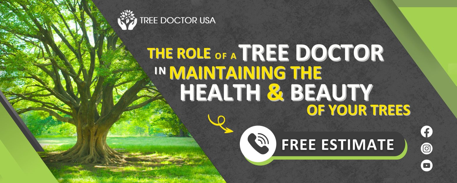 Role of a Tree Doctor in Maintaining The Health & Beauty of Your Trees