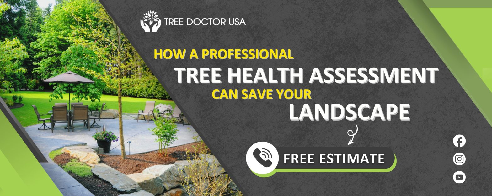 How a Professional Tree Health Assessment Can Save Your Landscape