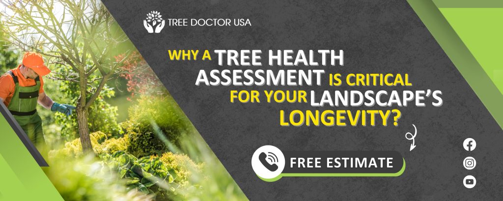 Tree Health Assessment for Landscape Longevity