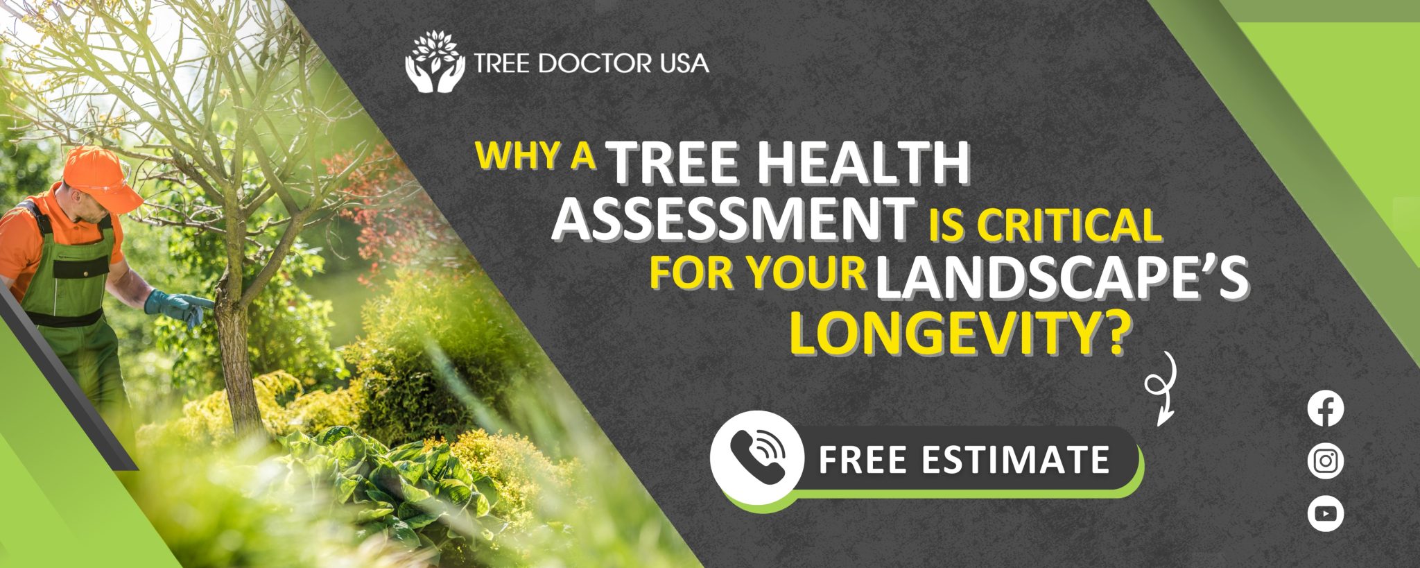 Why a Tree Health Assessment is Critical for Your Landscape’s Longevity?