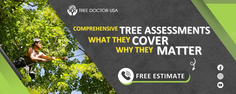 Comprehensive Tree Assessments What They Cover and Why They Matter
