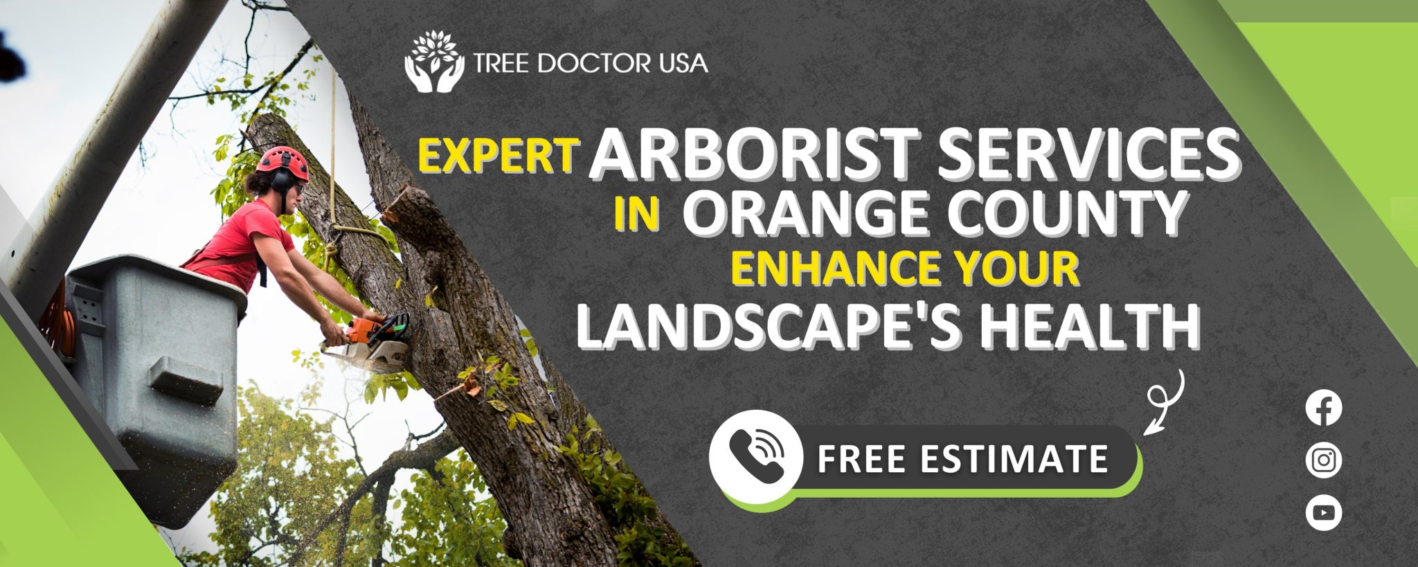 Expert Arborist Services in Orange County: Enhance Landscape's Health