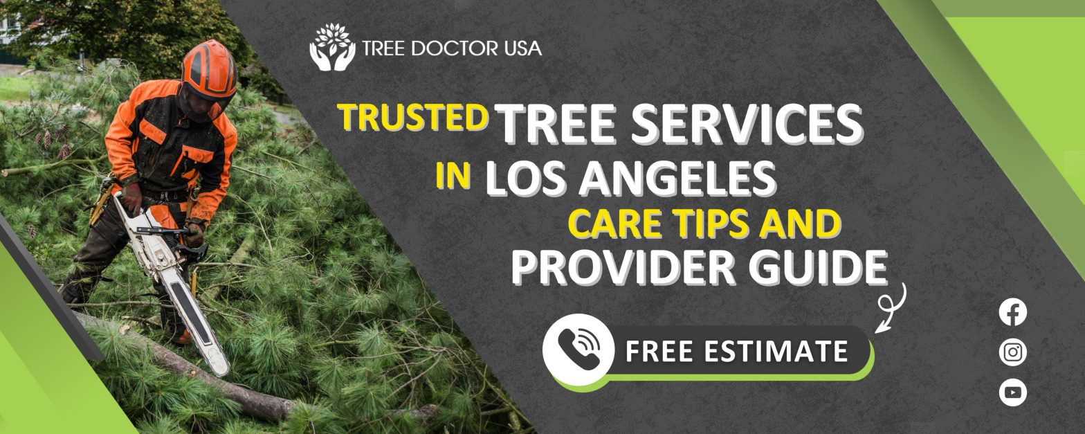 Trusted Tree Services in Los Angeles: Care Tips and Provider Guide