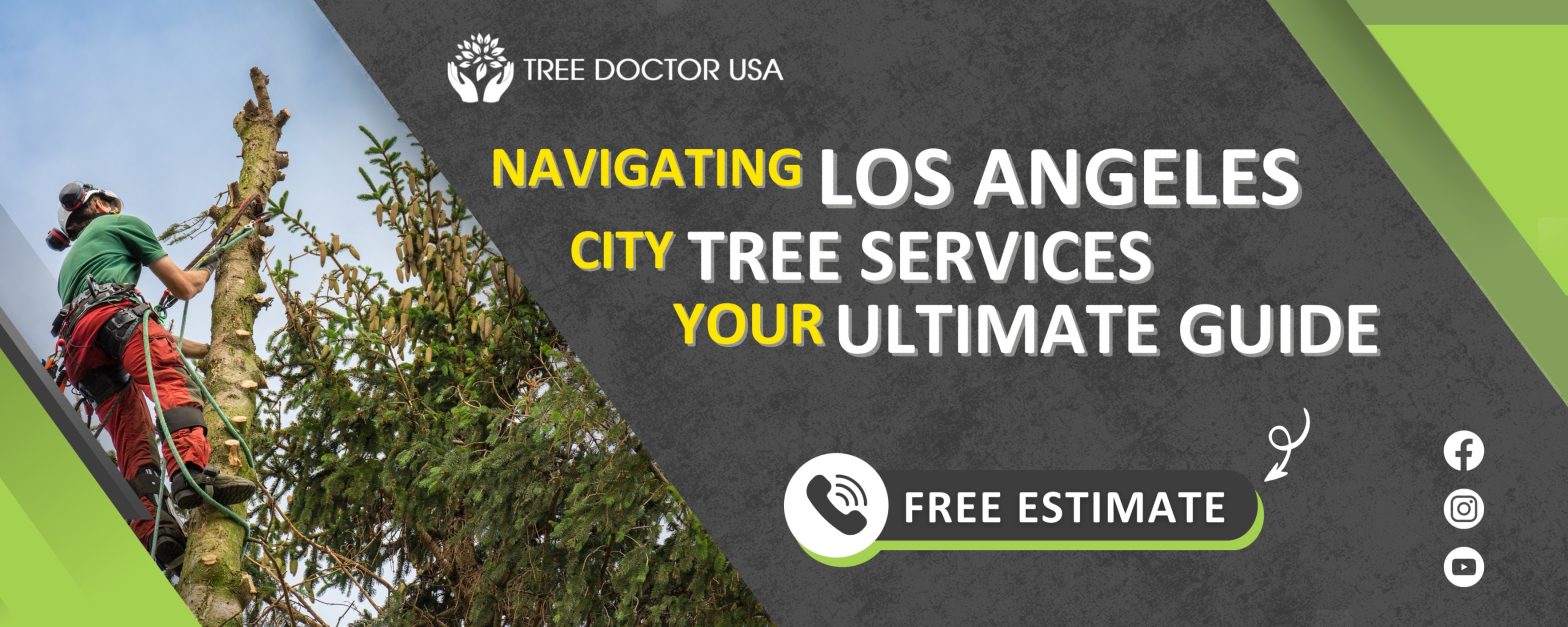 Navigating Los Angeles City Tree Services: Your Ultimate Guide