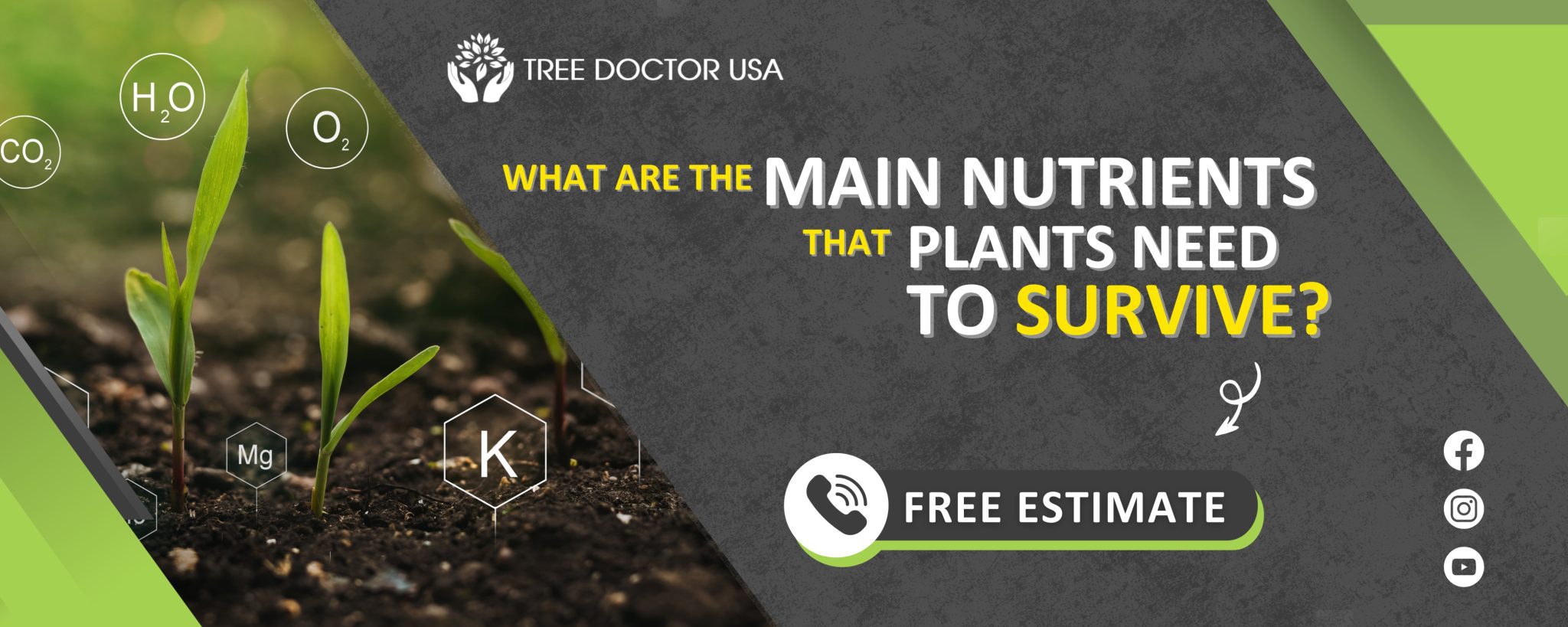 What are the Main Nutrients that Plants Need to Survive?
