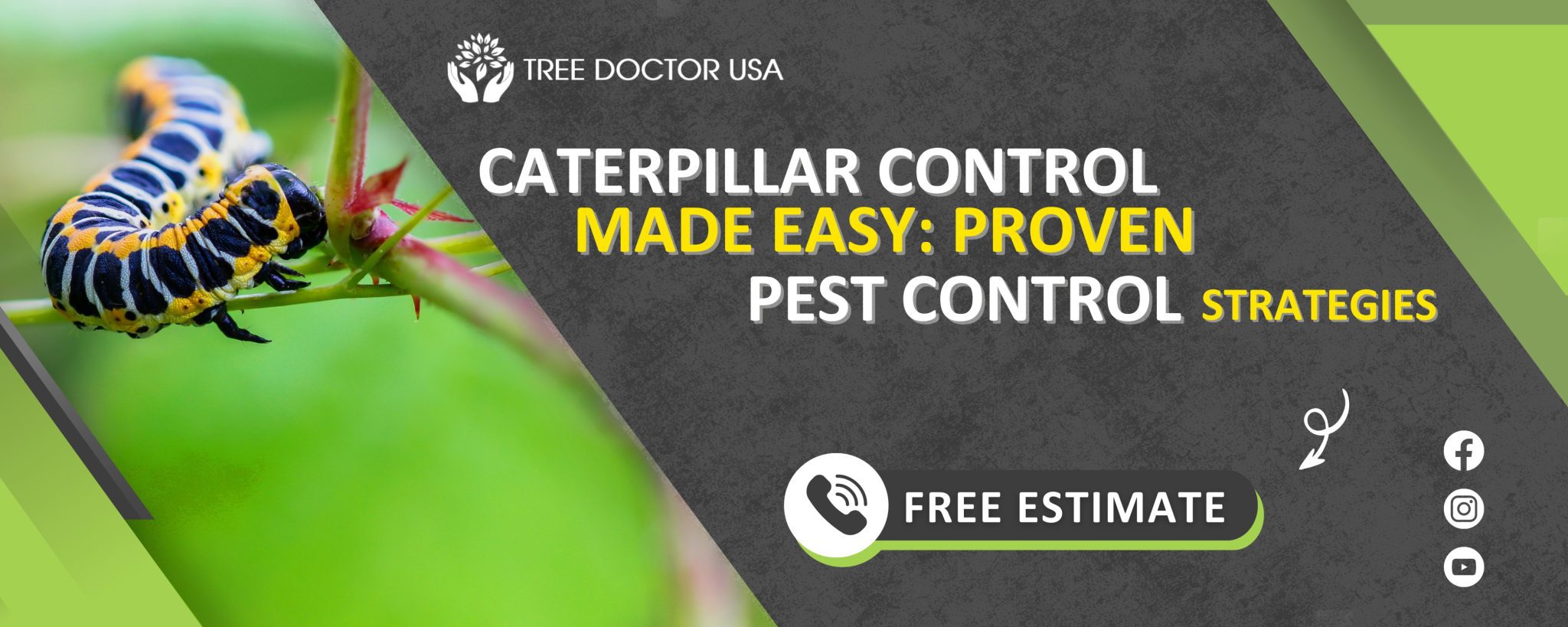 Caterpillar Control Made Easy: Proven Pest Control Strategies
