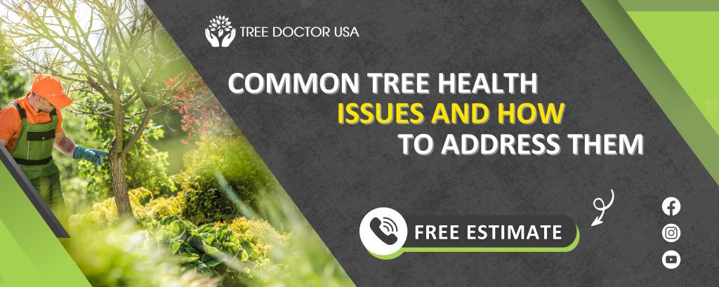 Common Tree Health Issues and How to Address Them