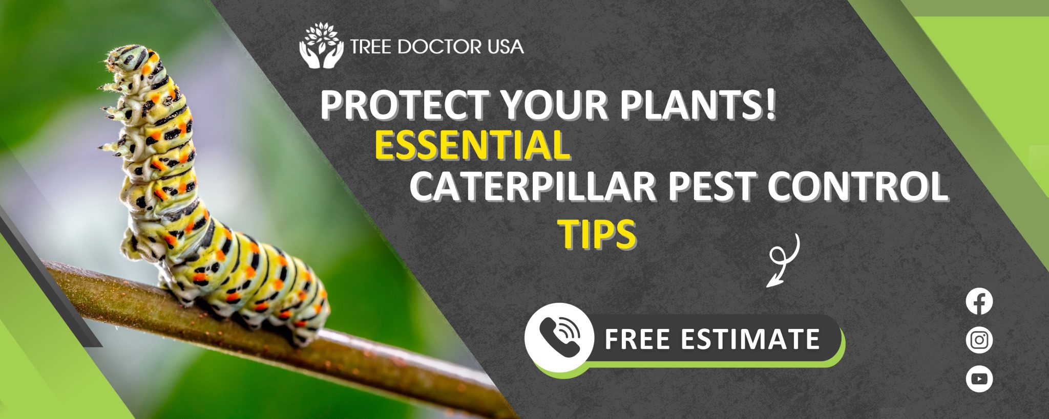 Protect Your Plants! Essential Caterpillar Pest Control Tips