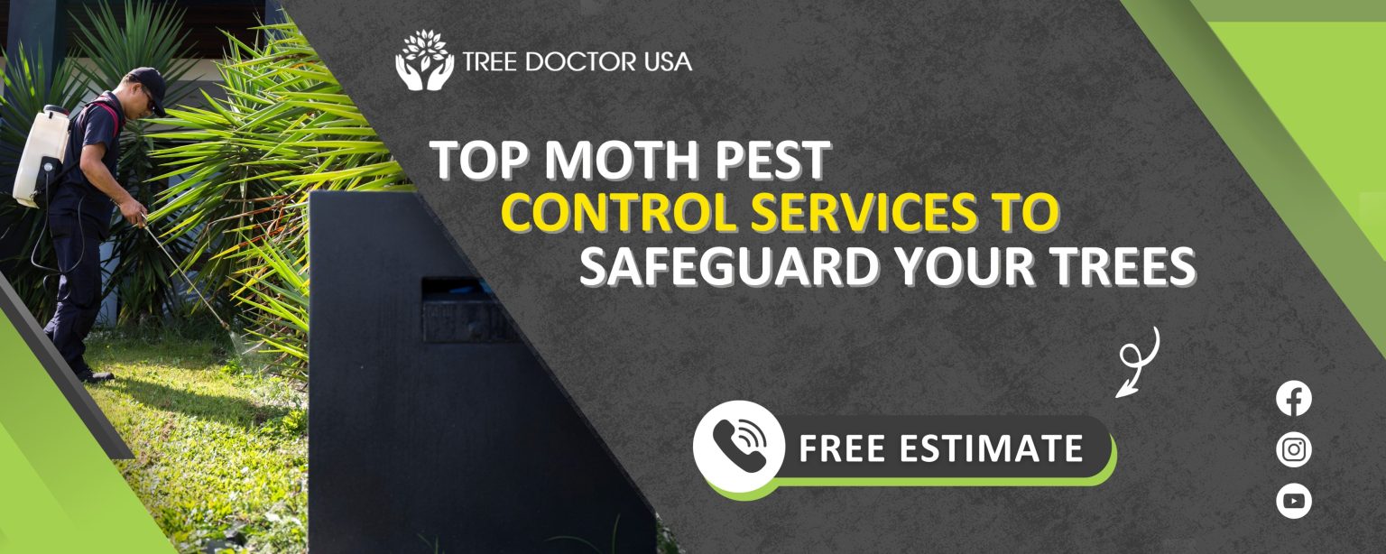 Top Moth Pest Control Services to Safeguard Your Trees