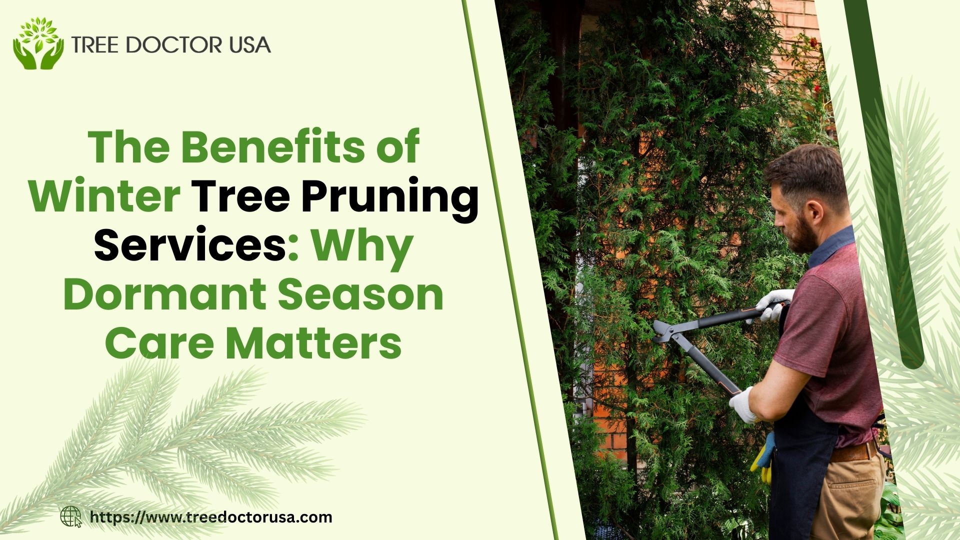 Winter Tree Pruning Services: Benefits of Dormant Season Care